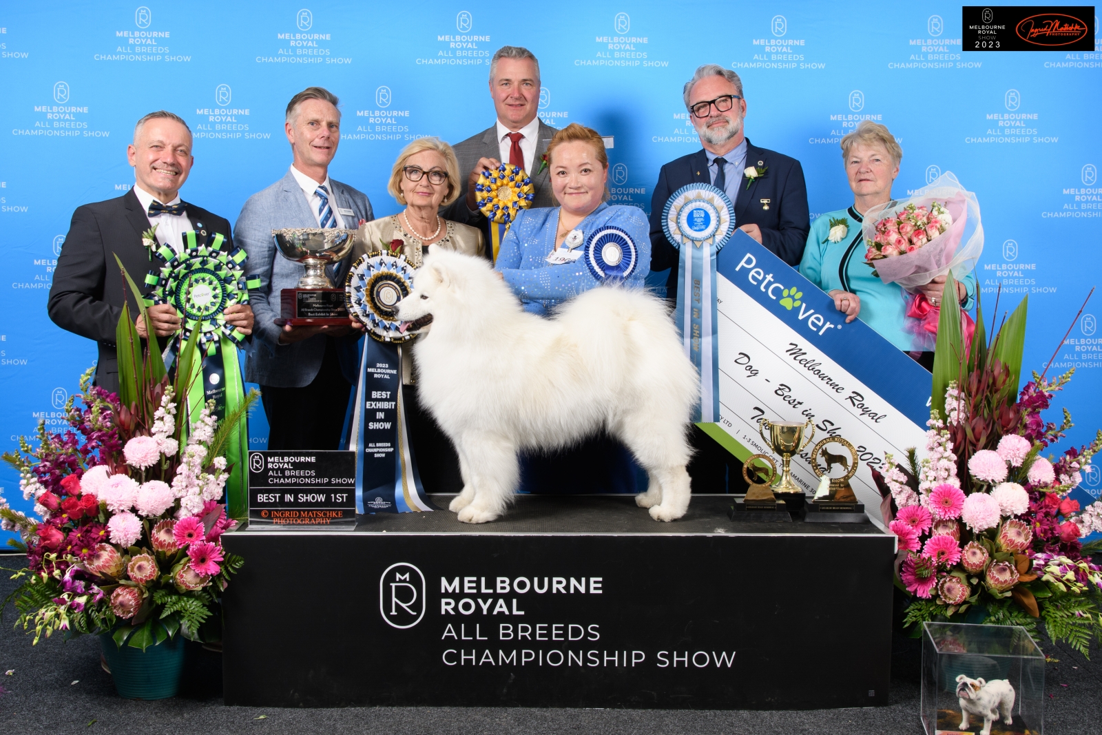 Melbourne Royal Show, Sept '23 - GALLERIES - DOGS - 2023 - Ingrid ...
